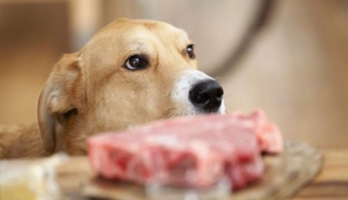 Indonesia di Urutan Lima, Ini Negara Tertinggi Pengonsumsi Daging ...