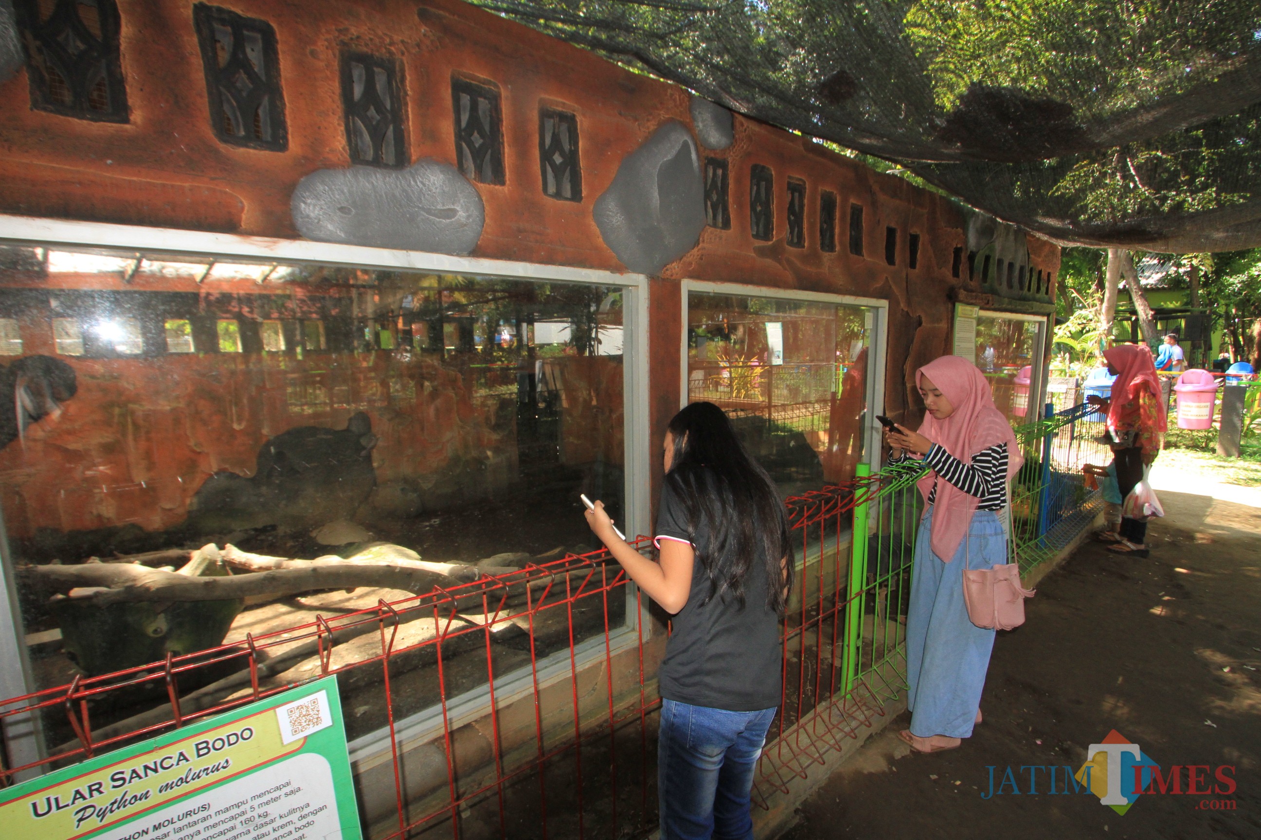 Lengang, Kebun Binatang TWSL Probolinggo Raup Puluhan Juta - Ngawi Times