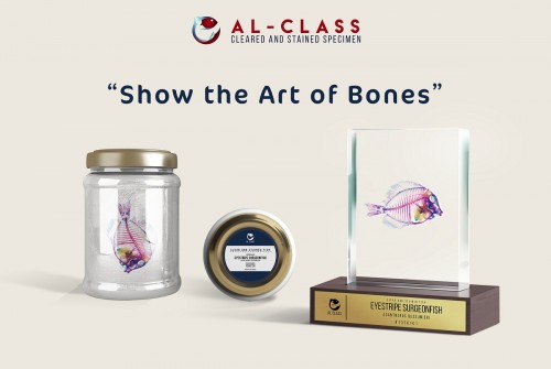 Siswa Lebih Mudah Belajar Anatomi Tulang dengan Larutan Al-Class ...