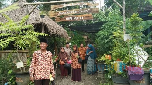 Kampung Toga Turi Putih Wonodadi Blitar, Wisata Herbal Kaya Manfaat ...