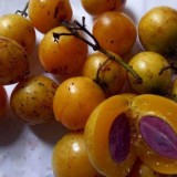 Indonesia Punya Buah Unik Jarang Diketahui, Buah Apa Sajakah? | MalangTIMES