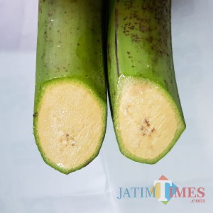 Riset: Pisang Lokal Ini Punya Nutrisi 40-90 Kali Lipat Lebih Tinggi ...