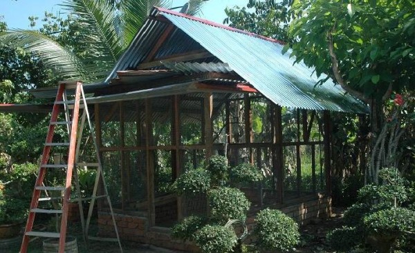 Aviary Terbesar di Dunia Ada di Indonesia, Pemiliknya Bukan Irfan Hakim ...