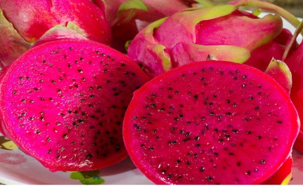 Kaya Nutrisi dan Mineral, Buah Naga Merah Punya Banyak Manfaat bagi ...