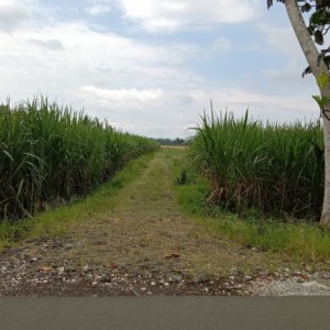 Manfaatkan Akses Bekas Rel, Pemkab Malang Rencana Bangun Jalan ...
