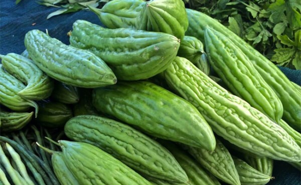 Seduhan Pare Madu Ini Bisa Membantu Normalkan Asam Urat hingga ...