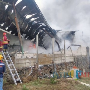 Kebakaran Pandanlandung, 50 Persen Area Pabrik Kertas CV Kurnia Jaya Ludes | MalangTIMES