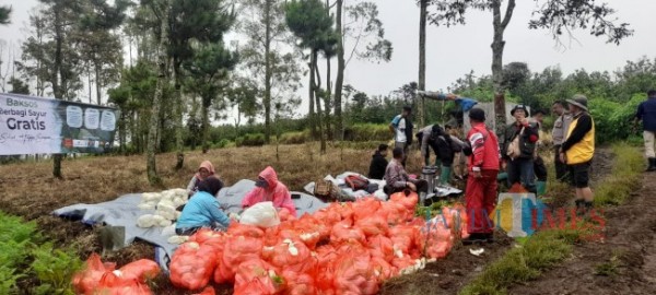 Harga Sayur Murah, Lintas Komunitas Bantu Petani Kota Batu Panen Sayur ...