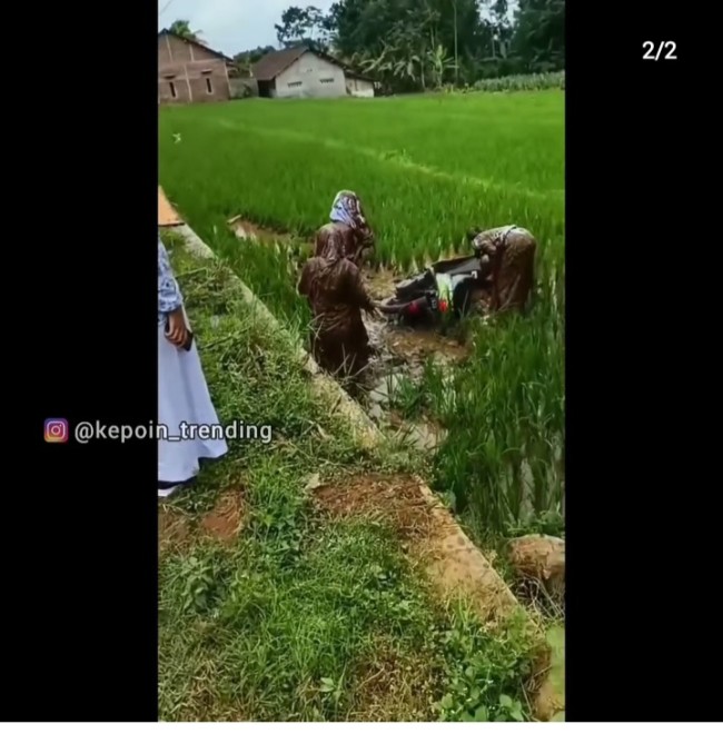 Bikin Ngakak, 3 Orang Pelajar Jatuh ke Sawah hingga Badan Tertutupi Lumpur - Ponorogo Times