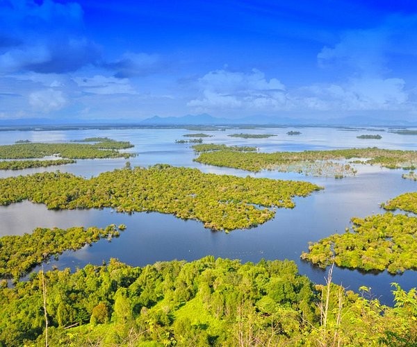 Jelajahi Wisata Alam nan Eksotik di Kalimantan, Ada Ubur-Ubur Tak ...