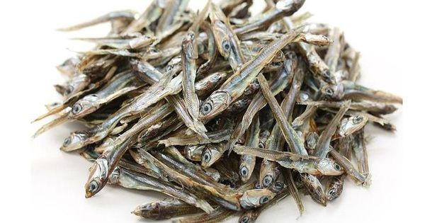 5 Jenis Ikan yang Bisa Membuat Umur Panjang, Ada Sarden dan Teri ...