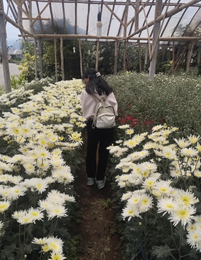 5 Wisata Gratis di Kota Batu yang Seru dan Hits, Nomor 2 Cocok untuk ...